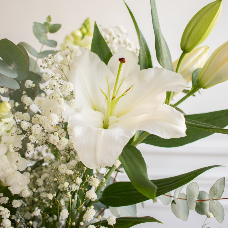 Le Jardin Fleuris